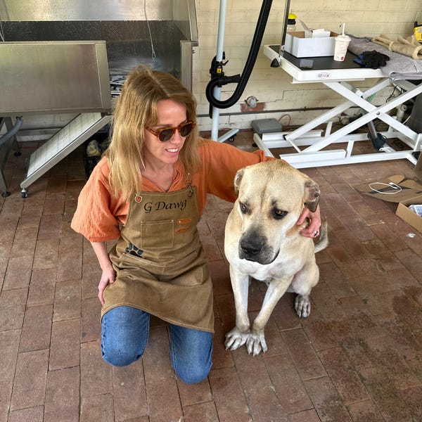 Custom Apron for Dog Groomer Apron for Pet Groomer Apron Pet Spa ...