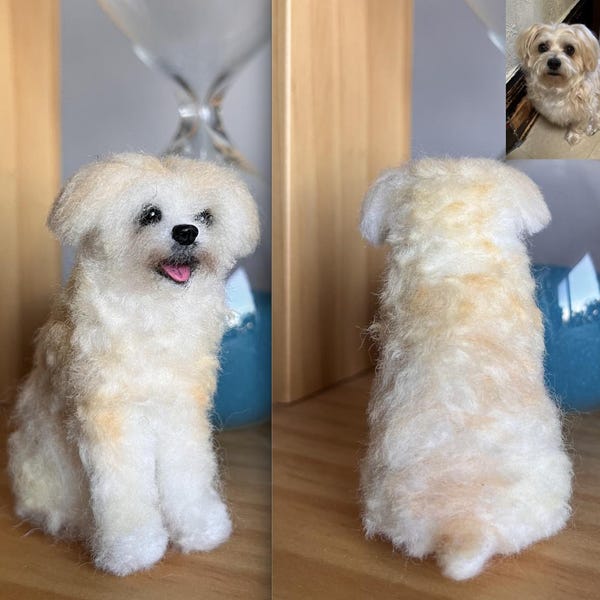 3D Custom Felt Pet Portraits,animal Lovers Christmas Gift,custom Needle ...