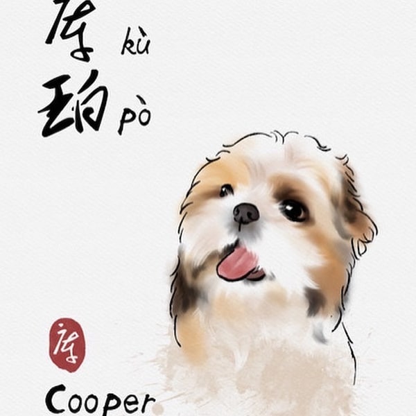 Your Pet's Name in Chinese Characters.lunar New Year.custom Pet ...