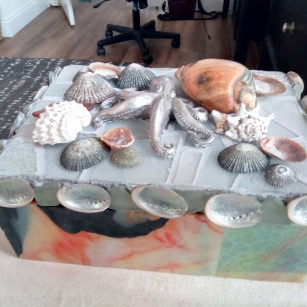 Hawaii Black Opihi Limpet Sea Shell Pack of 50 Assorted Size Limpets - Etsy