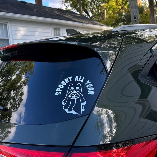 Spooky Season Skeleton Cup, Halloween Glass Cup, Spooky Frosted Glass ...