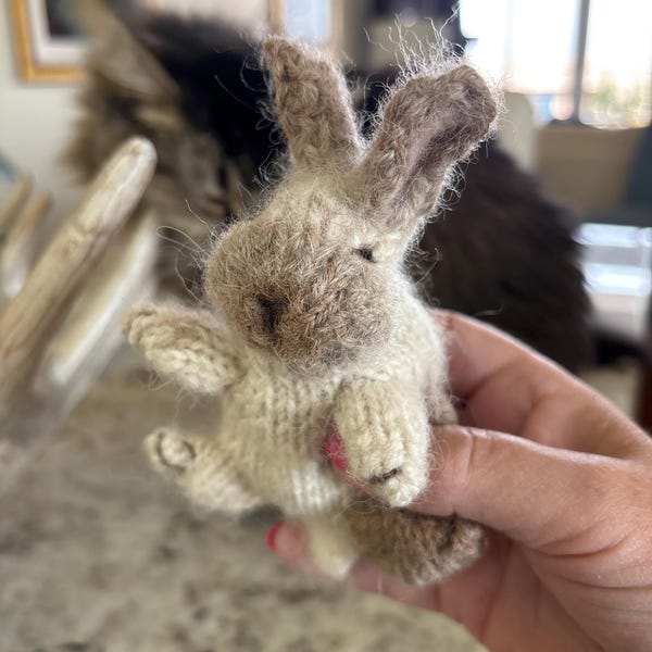 Realistic·• Knitted • Poseable Plush Sable Point Lop Bunny Rabbit ...