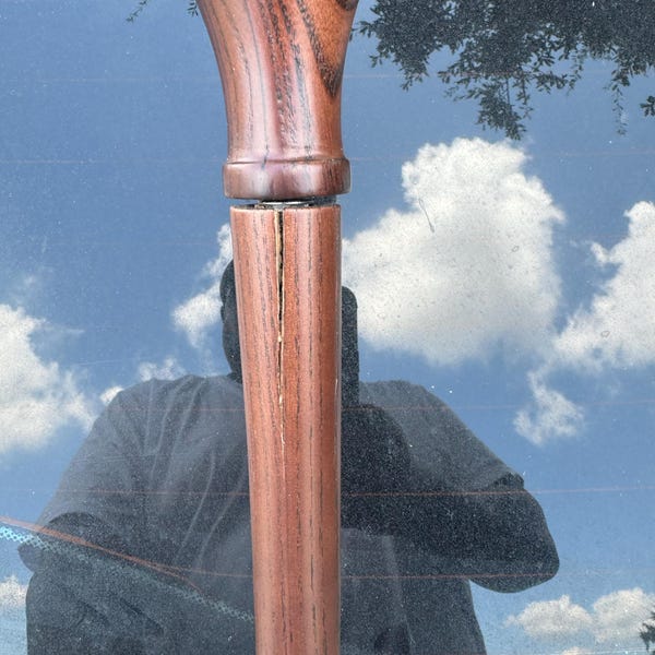 Walking Cane Crow Walking Stick, Raven Cane, Walking Cane for Men and ...