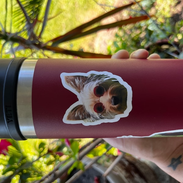 Custom Pet Sticker, Animal Sticker, Personal Sticker, Photo Pet Sticker ...