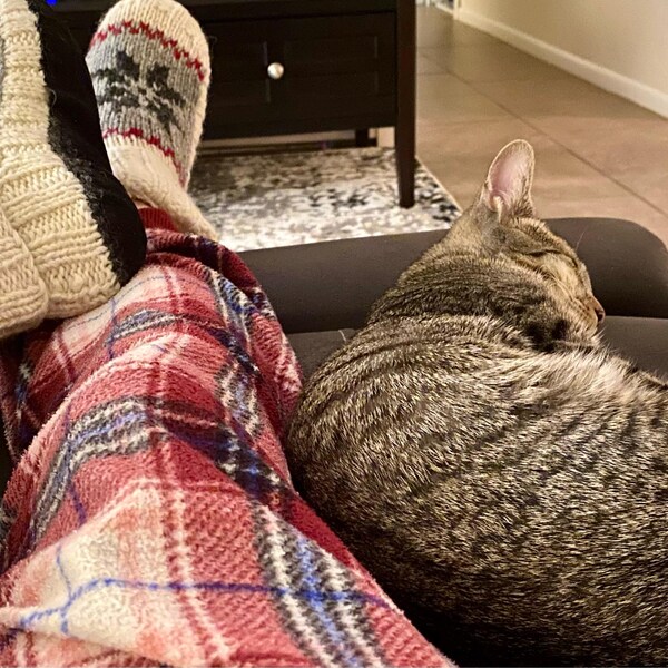 100% Genuine Soft Lamb Wool Women's Cosy Herd of Sheep Design Hand Knitted Jumper Nordic Sweater ...