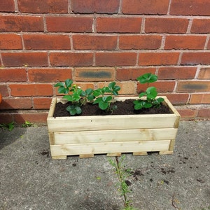 Personalised Gothic Bird Table - Etsy