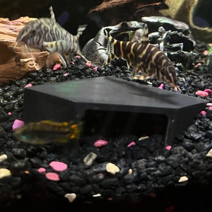 Skeleton Human Hand right Hand Prop Sculpture | Etsy