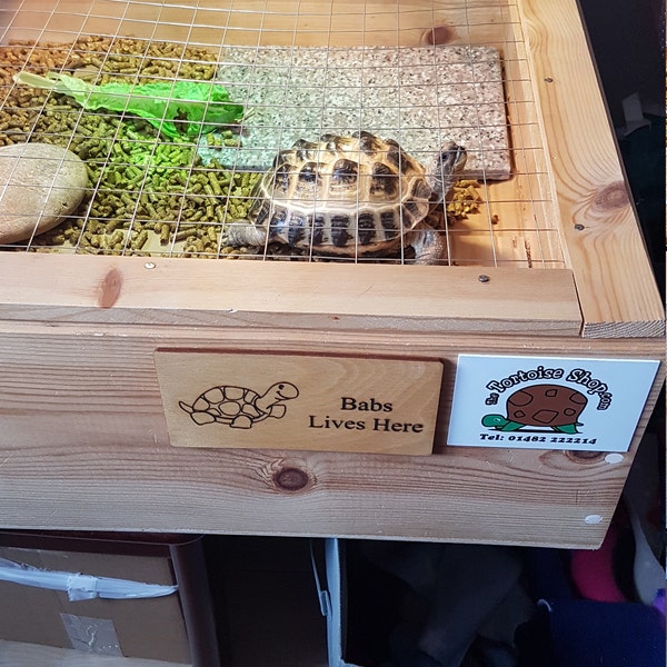 Personalised Wooden Tortoise Name Plaque/hanging Sign - 4 Designs ...