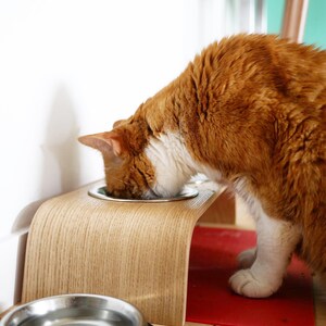 Wooden Elevated Stand for Cats and Small Dogs Healthier Feeding Stand ...