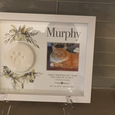 Pet Memorial Paw Print Holder Shadow Box, Two Paw Prints, Pet Loss ...