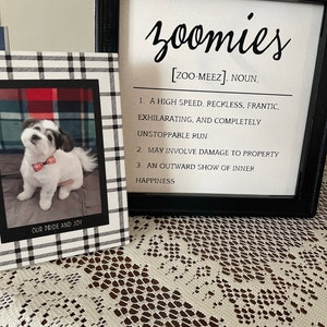 Zoomies, Home Decor, Dog Decor, Cat Decor, Pet Decor, Reverse Canvas ...