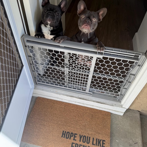 Buffalo Doormat, Buffalo Door Mat, Buffalo Welcome Mat, Doormat, Door ...