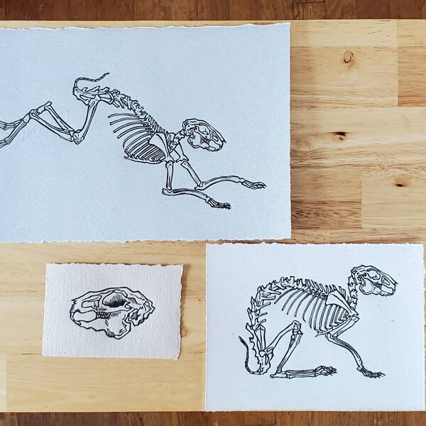 Fish Mini-print Pack. Five Different Linocut Fish Prints on Heavyweight ...