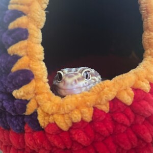 Skull Reptile, Invertebrate Hide, Crocheted Leopard Gecko Hide, Velvet ...