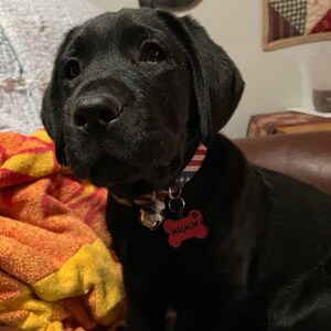 Custom Lab Coat Embroidered Medical Lab Coat Personalized | Etsy