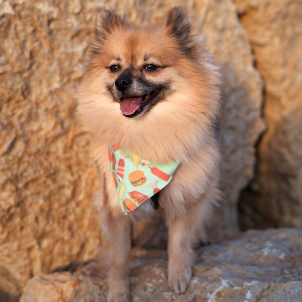 Fast Food Dog Bandana, Diner Reversible Curved Neck Snap On, Summer Pet ...