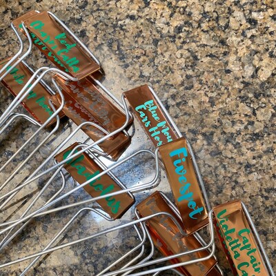 Make Your Money Count, Digital Download, Laser File, Counting Money ...