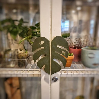 Plant Trellis Cebu Blue Pothos Plant Art Plant Decor - Etsy