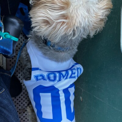 Canva Foldable Fan Templates Canva Templates Foldable - Etsy