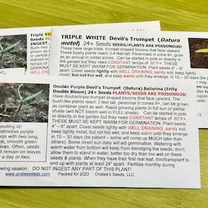 Jewels of Opar ''limon'', Limon Talinum talinum Paniculatum Lime Green ...