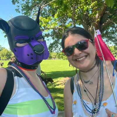 Bisexual Flag Hoodie, Bi Pride Hoodie, Bisexual Colors, Bisexual Pride ...