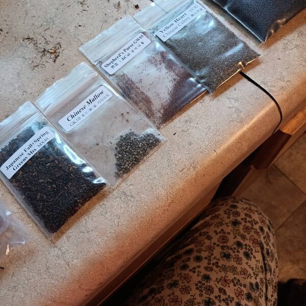 1000 Shepherd’s Purse Seeds; 薺菜 Jicai; Cây Rau Tề; Naengi Namul 냉이나물 - Etsy