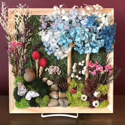 Real Dried Mix Moss Craft Making Moss for Crafts Fairy Garden Moss ...