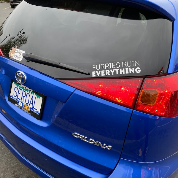Furries Ruin EVERYTHING Decal - Furry Fandom, Anthropomorphic Vinyl ...