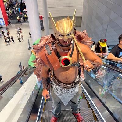 Hawkman Helmet - Etsy