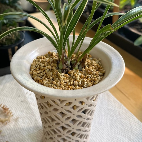 Furan Orchid Pot Fu Ran Pot Neofinetia Pot Fukiran Furan Pot Dendrobium ...