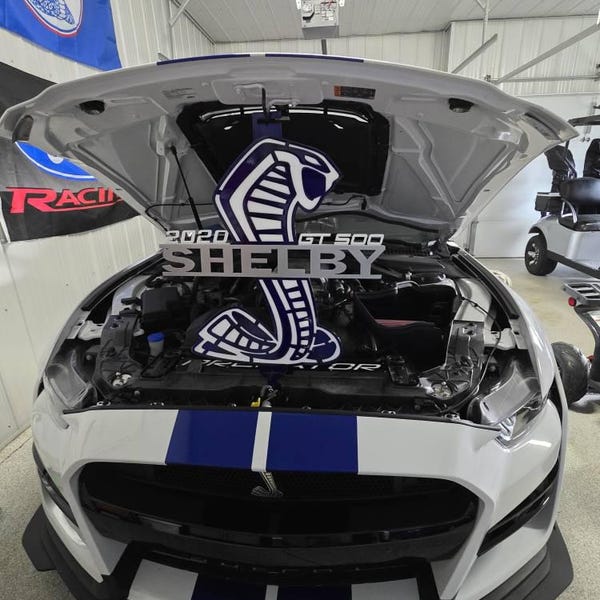 2016-2022 GT500 / GT350 RADIATOR COVER PLATE White and Blue Metallic - Etsy