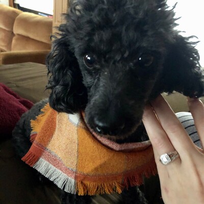 Curriculum Maps for Homeschooling Pre-k-10th Visual Lesson Planning ...