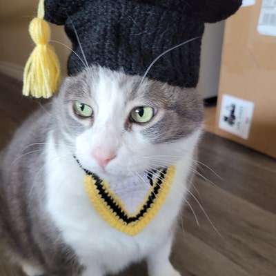 Graduation Costume for Cat, Graduation Cat Cap, Gift for Cat Lover, Cat ...