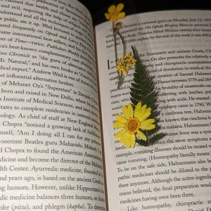 Pressed Floral Bookmarks Real Dried Flowers Gift Idea for - Etsy