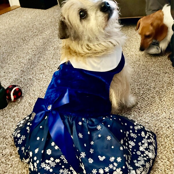 Caduceus Military GI Dog Tags Custom Aluminum Engraved Dog Tags Medical ...