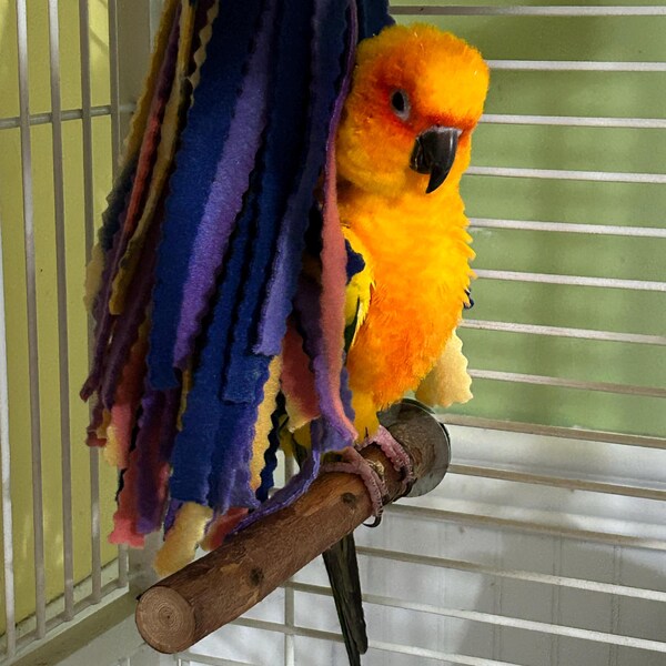 21-22 X-large Macaw Fleece Swing Bird Snuggle Cuddle Ring for Larger ...