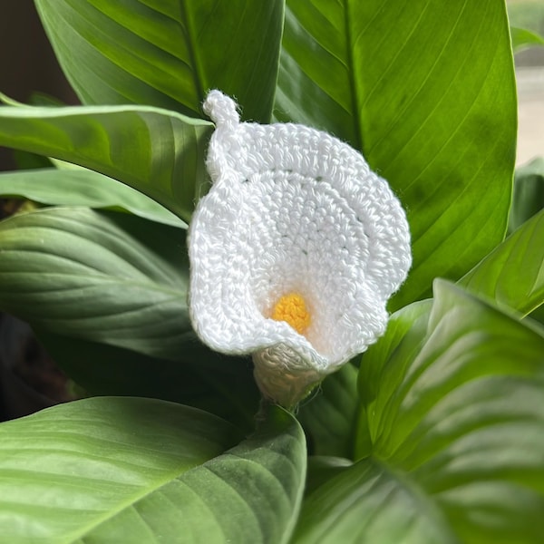 PDF Micro Rose Flower Crochet Pattern, Crochet Flower Bouquet Patterns ...