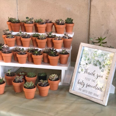 Watch Baby Grow Sign, Succulent Baby Shower, Watch Me Grow Tags ...