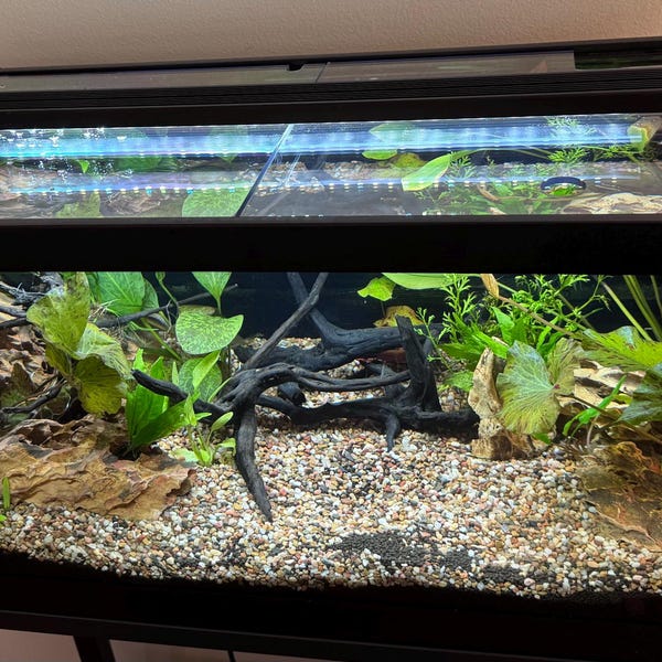 20 Gallon Long Reversible Polycarbonate Aquarium Lid. Tank NOT Included ...