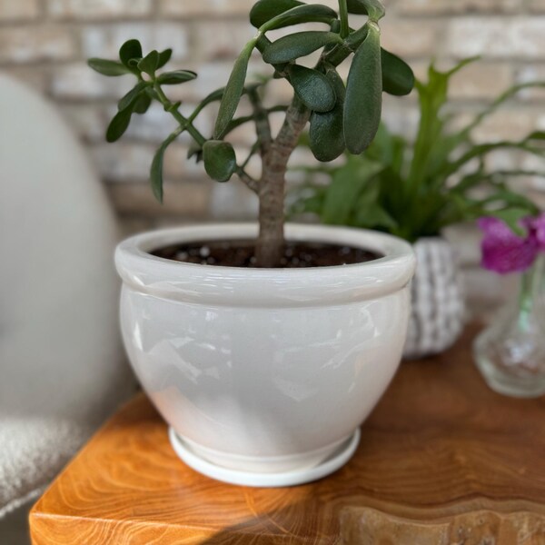Contemporary Large Ceramic Planter - Indoor & Outdoor Pots | Speckled ...