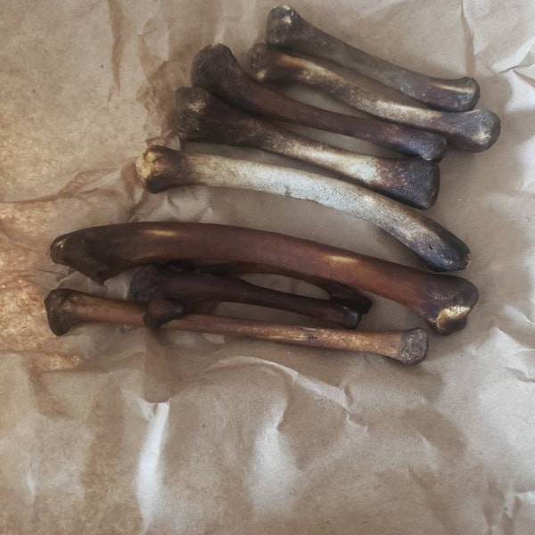 Aged Bone Set for Divination - Throwing Bones Set - Bones for Craft ...