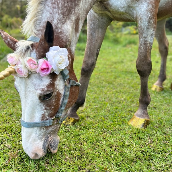 Gallop Glitter - Pink Glitter Set of 4 - Hoof Polish, Body Glitter ...
