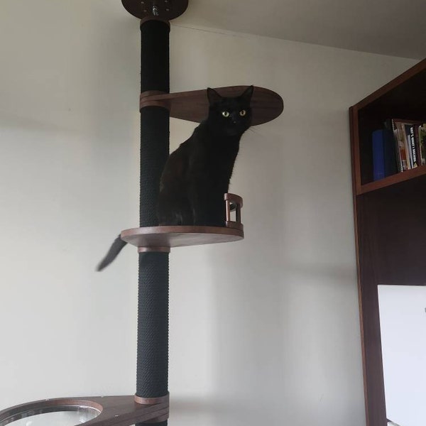 Cat Adjustable Tower Floor to Ceiling Cat Tower Wood Cat Tree Cat ...