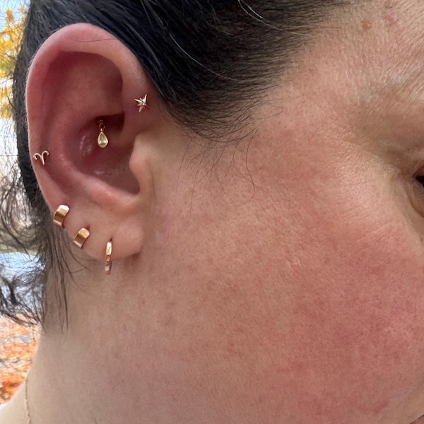 Hidden Helix Piercing 16g F136 Implant Grade Titanium Hammered Bar ...