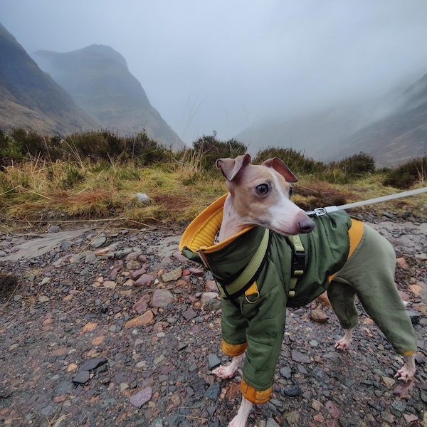 NEW - Puffa Jacket and Under Suit - Etsy