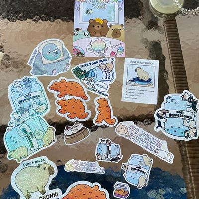 LTD TIME ONLY Confused Pelican Capybara Mini Acrylic Pin, Cute Kawaii ...