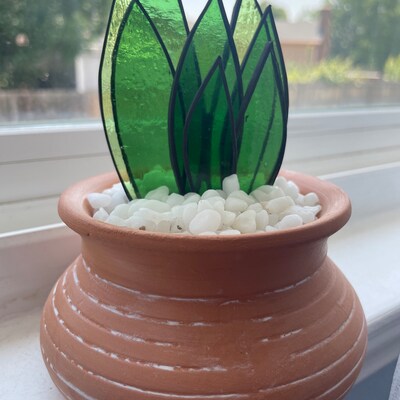 Stained Glass Agave, Stained Glass Succulent plant Only - Etsy