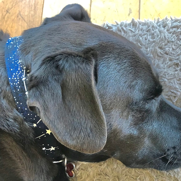Dog Collar, Big Dipper, Stars, Constellations, Key Fob, Keychain, Glow ...