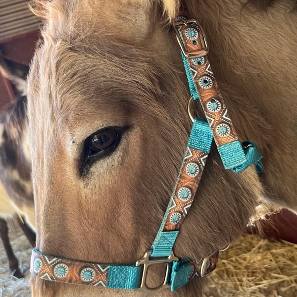 Custom Horse Halter Handmade USA by Halter All, Southwestern Western ...