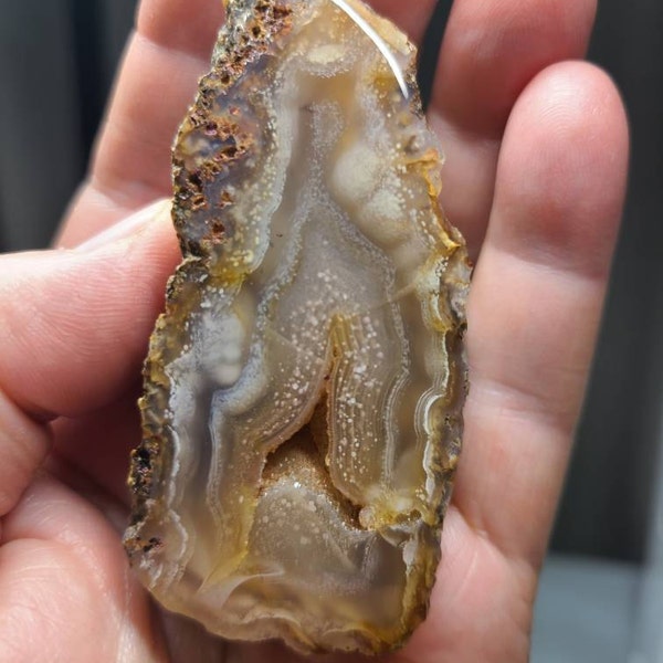 I LICK ROCKS Sticker | Funny Rock Stickers | Agate Dad - Etsy